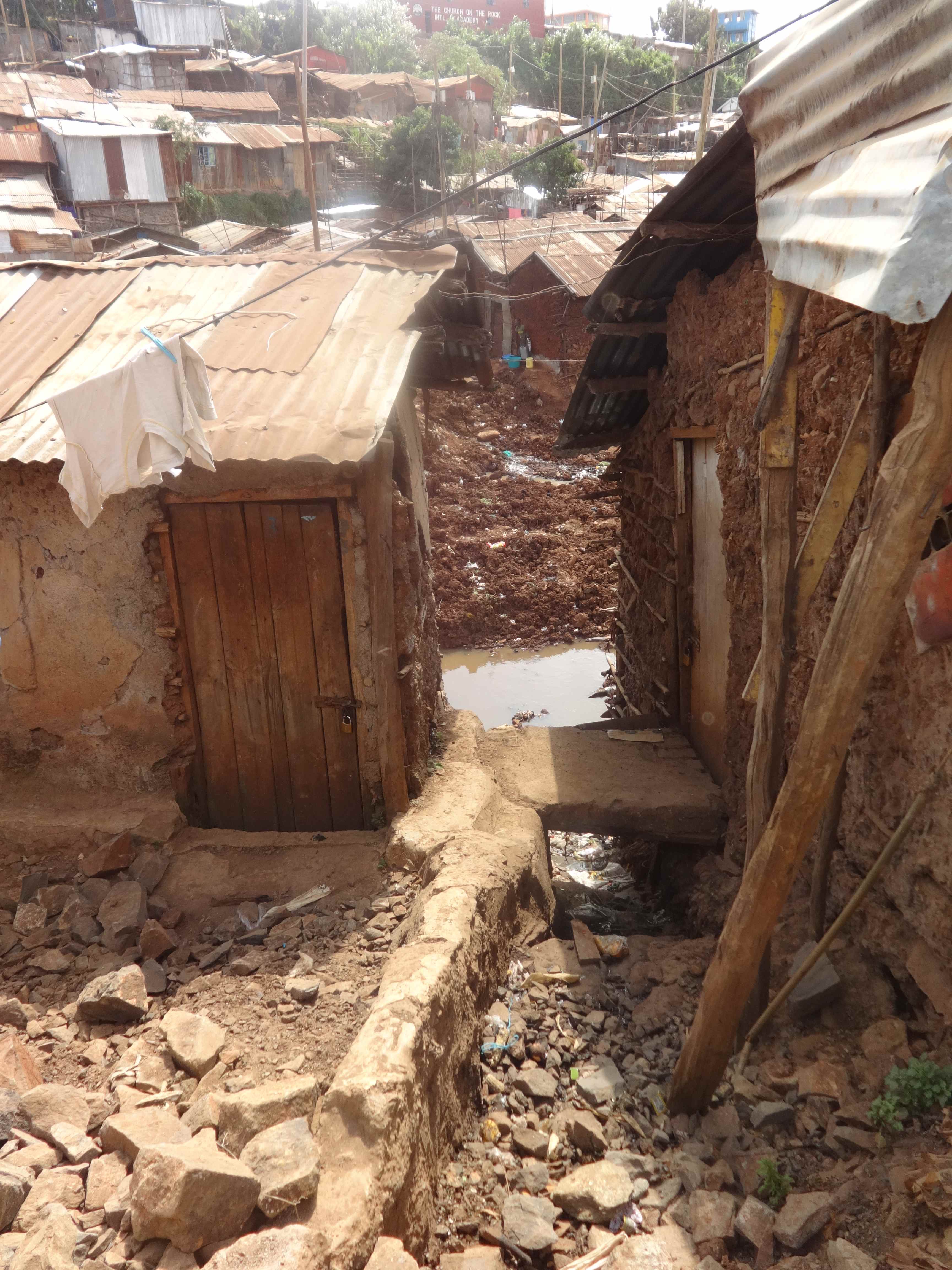 The Remnant Bride Online Bible Study